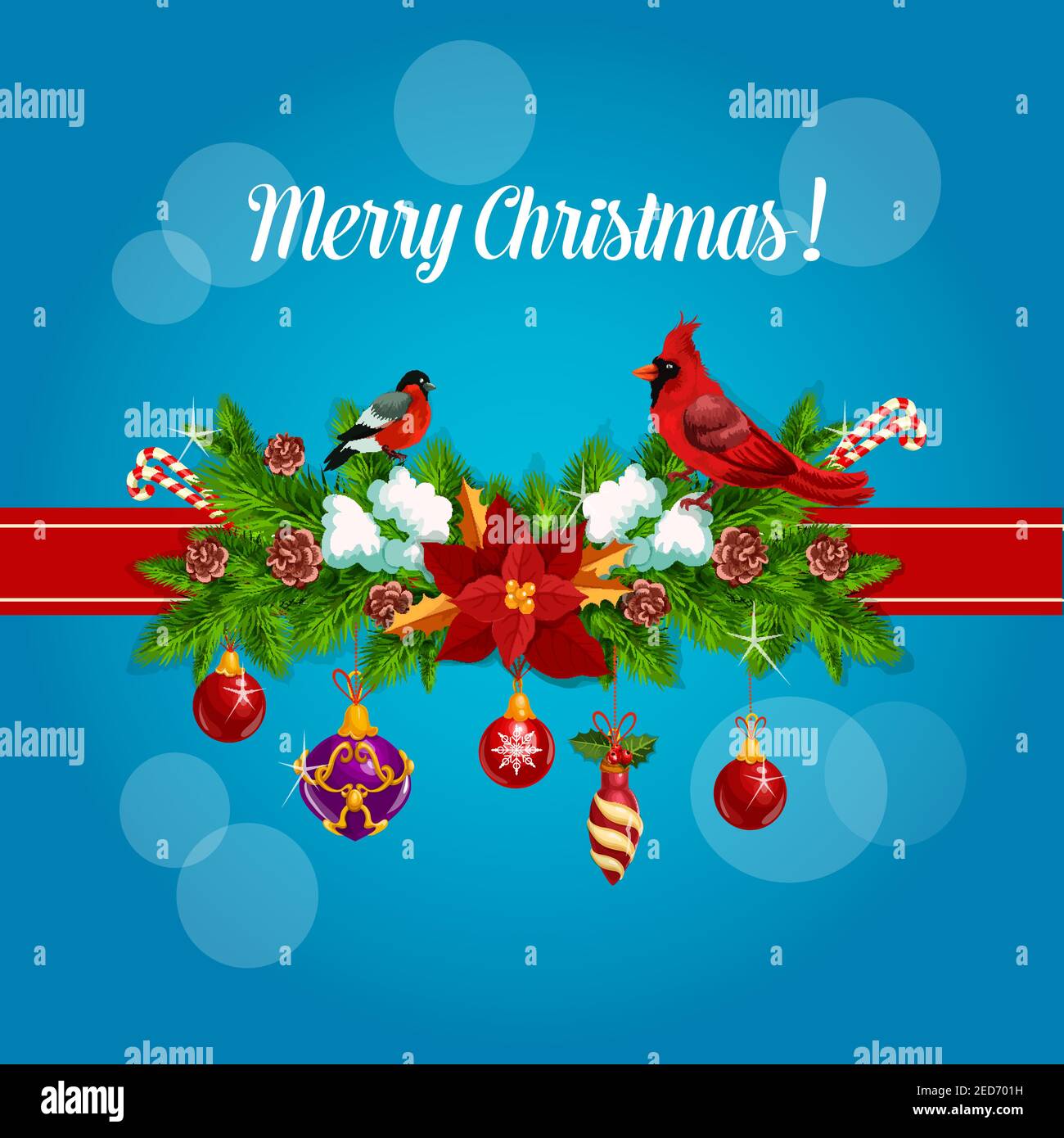 Red cardinal bird holly Stock Vector Images - Alamy