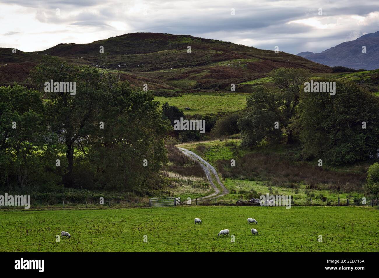 Teangue village on the Sleat peninsula, Isle of Skye, Scotland Stock ...