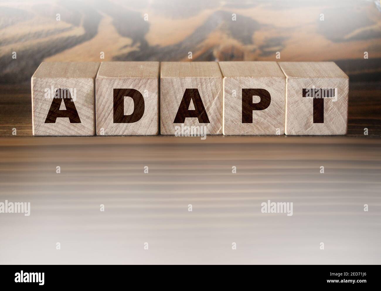 ADAPT word written on wood block. ADAPT text on wooden table. New ...