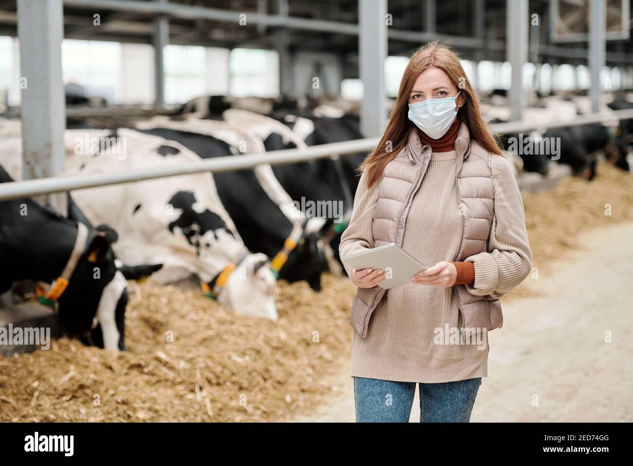 Female worker of animal farm in casualwear and protective mask standing ...