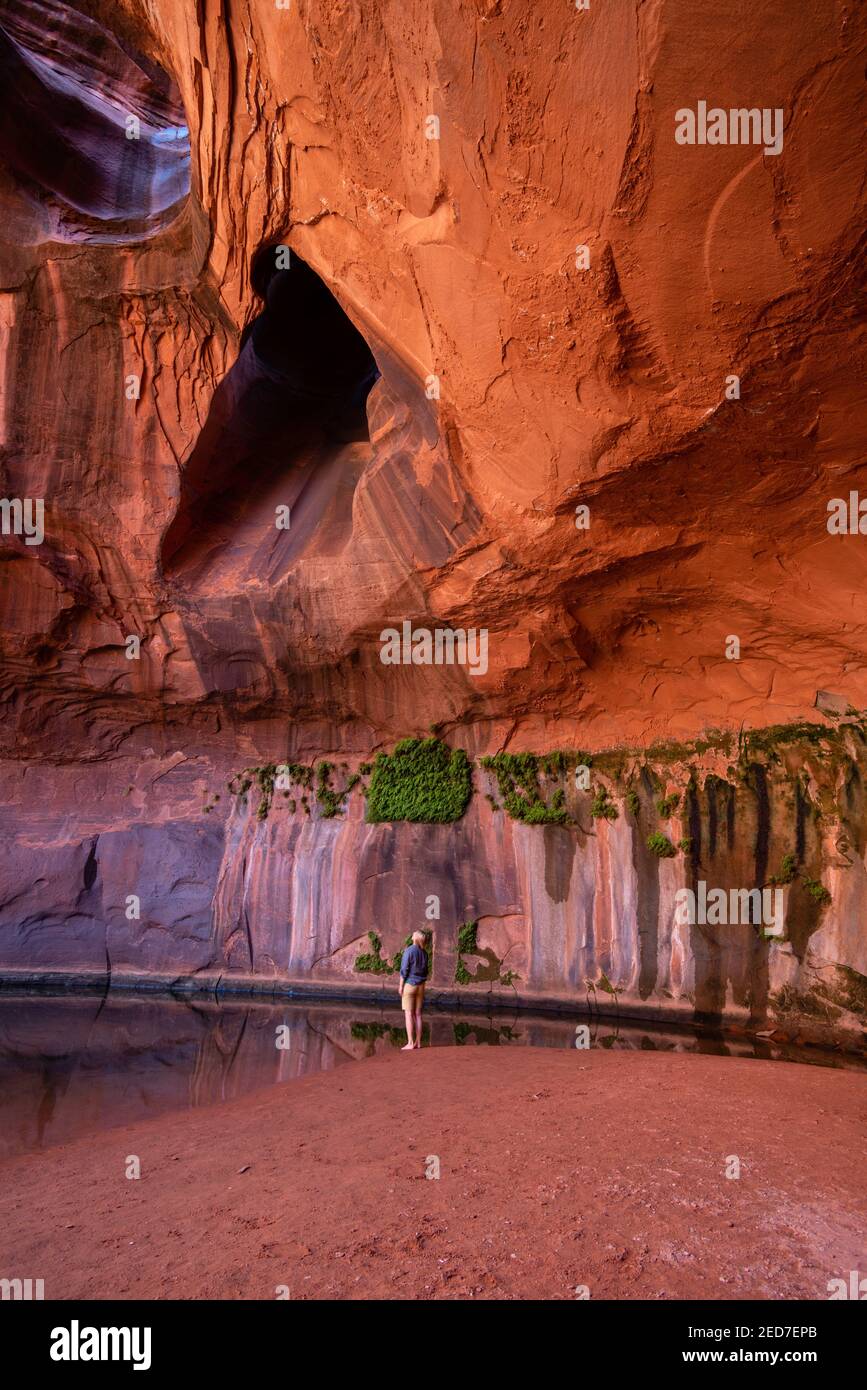 Photograph of the Golden Cathedral, a geological feature in the Grand ...