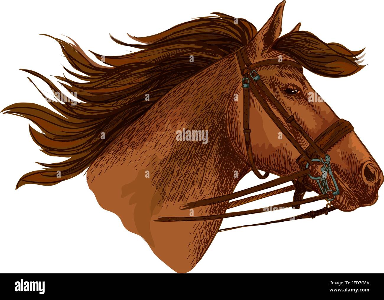 Horse head with bridle. Running or racing mustang stallion vector ...
