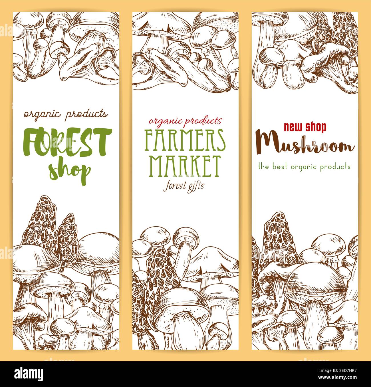 Vegetaian Stock Vector Images - Alamy