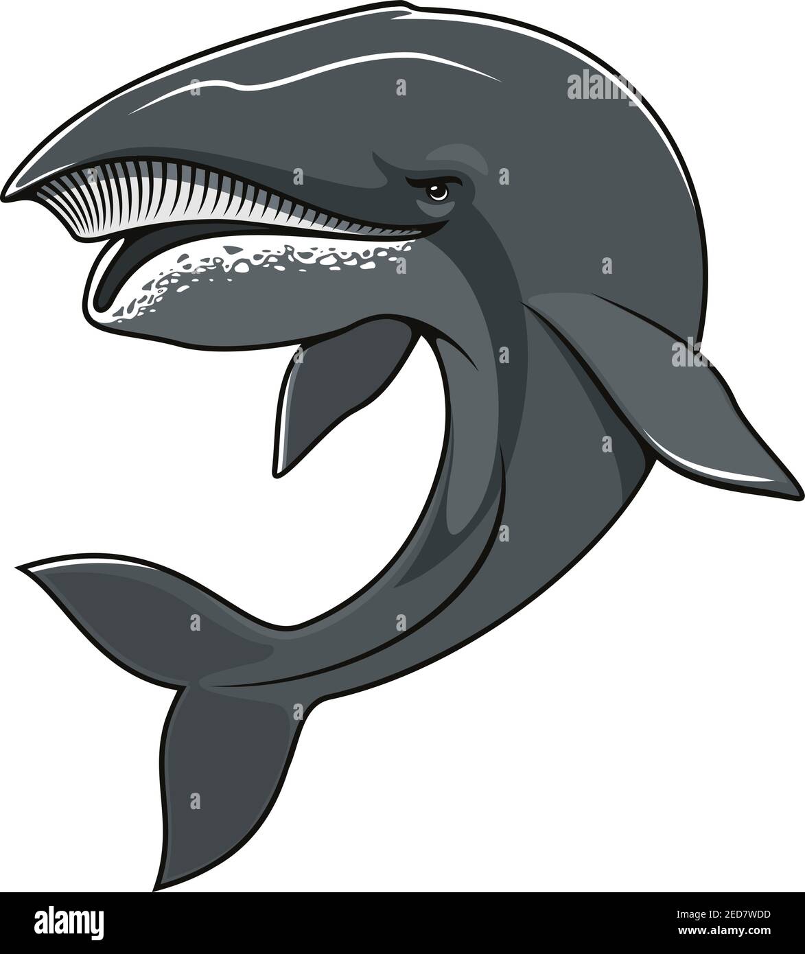 Toothed whale Stock Vector Images - Alamy