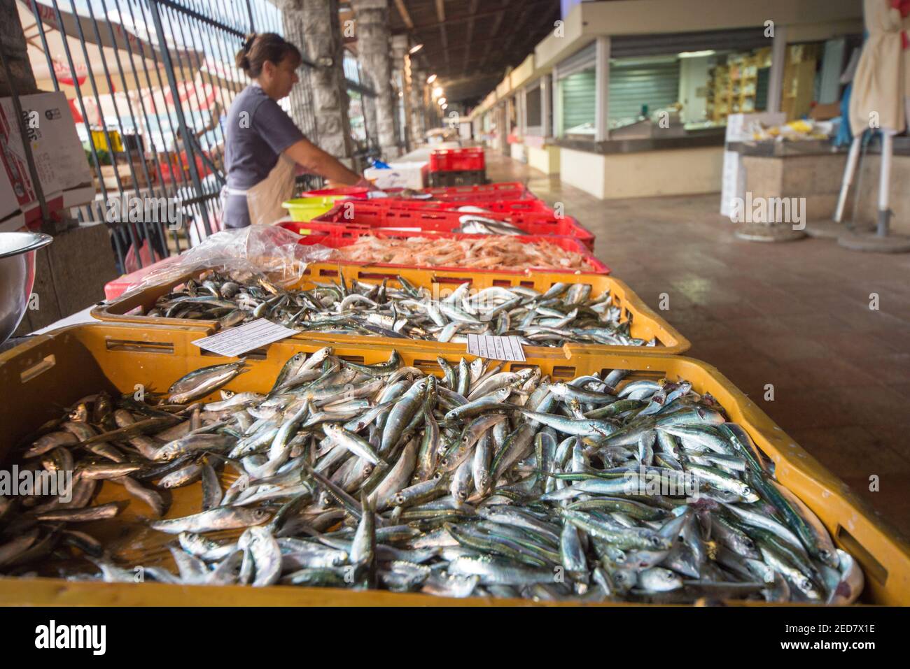 Sardines At Market Stall High Resolution Stock Photography and Images ...