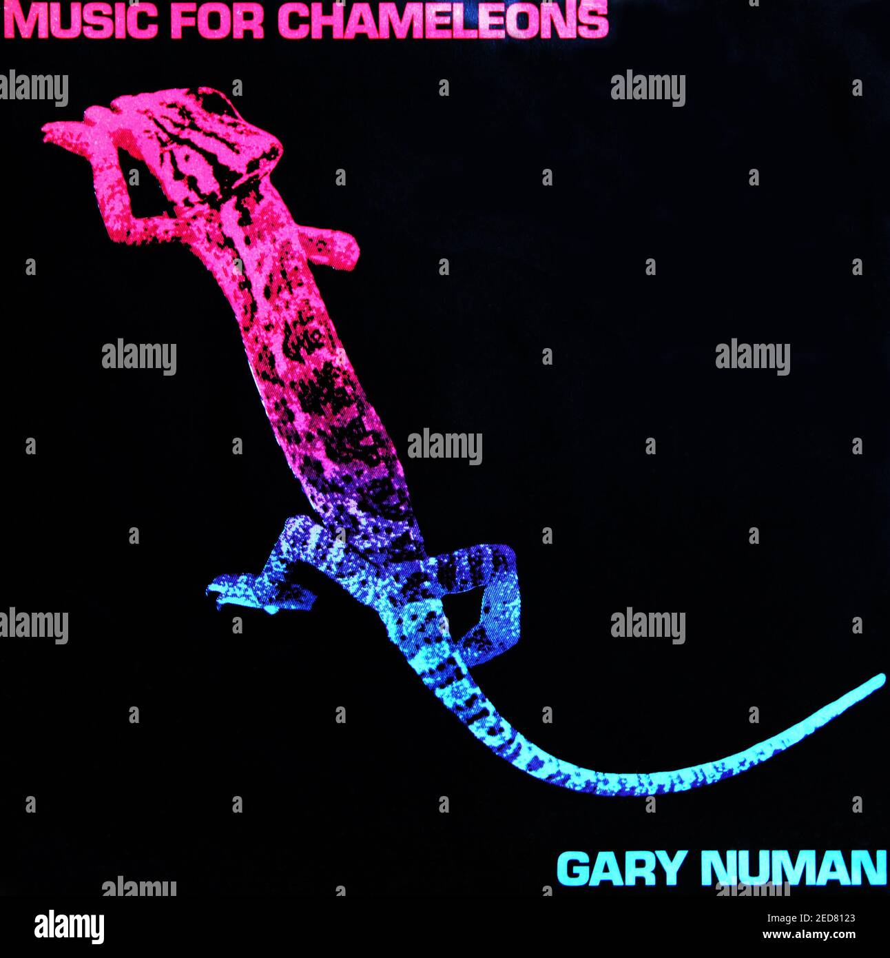 The chameleons band hi-res stock photography and images - Alamy
