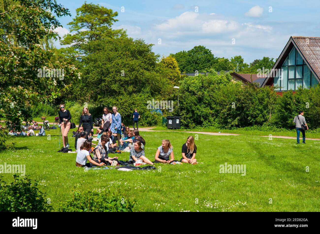 Young people having fun in a Danish park Stock Photo - Alamy