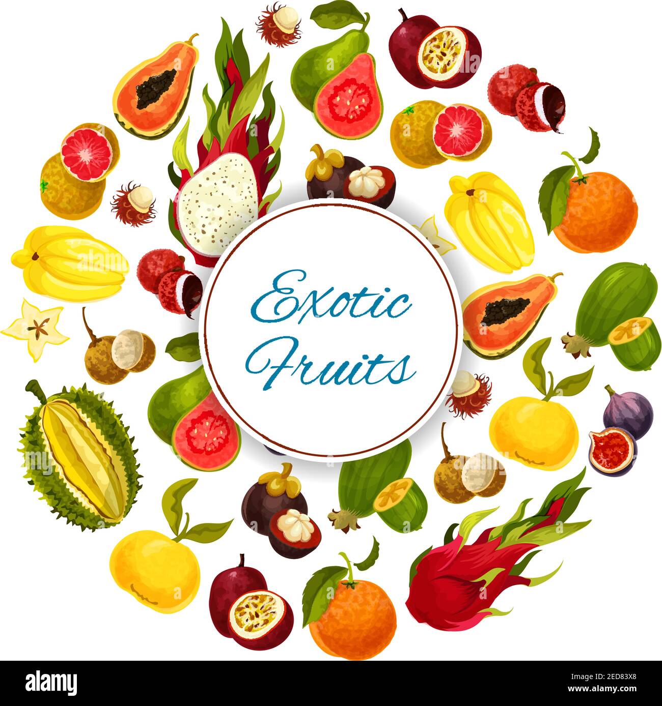 Exotic fruits. Vector poster of tropical fresh grapefruit or red orange ...