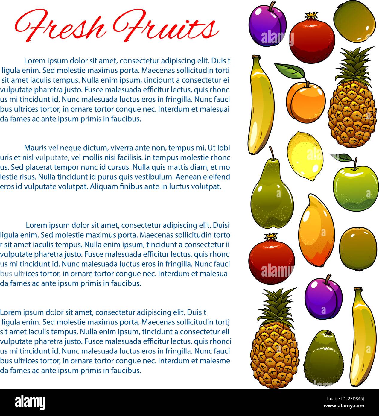 Fruit or vitamin food poster design. Fresh plum and banana, kiwi and ...