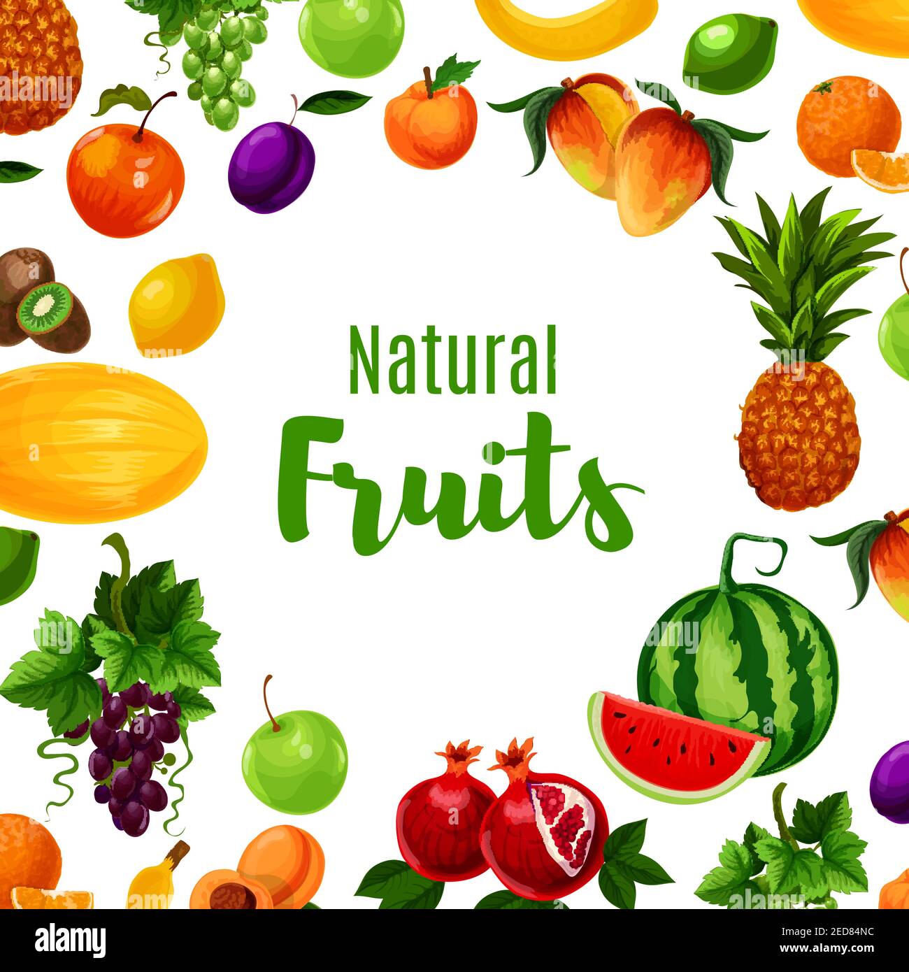 Vitamin food or fruit poster design. Fresh kiwi and citrus lemon ...