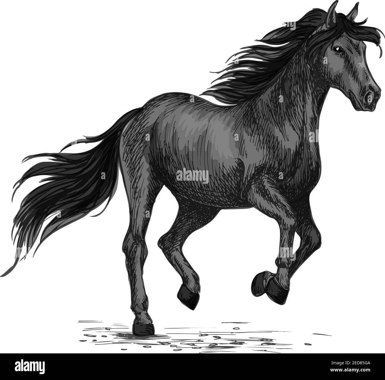 Trot stand Stock Vector Images - Alamy