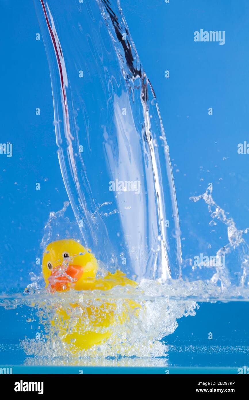 Bathtime with a traditional yellow plastic duck splashing in water ...