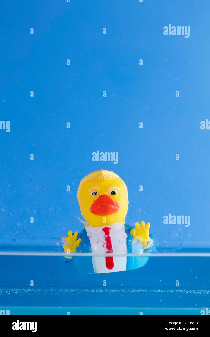 Trump duck hi-res stock photography and images - Alamy