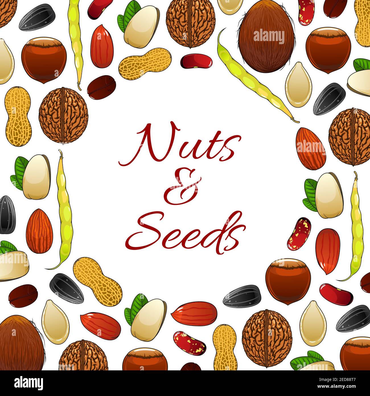 Brown pea pod Stock Vector Images - Alamy