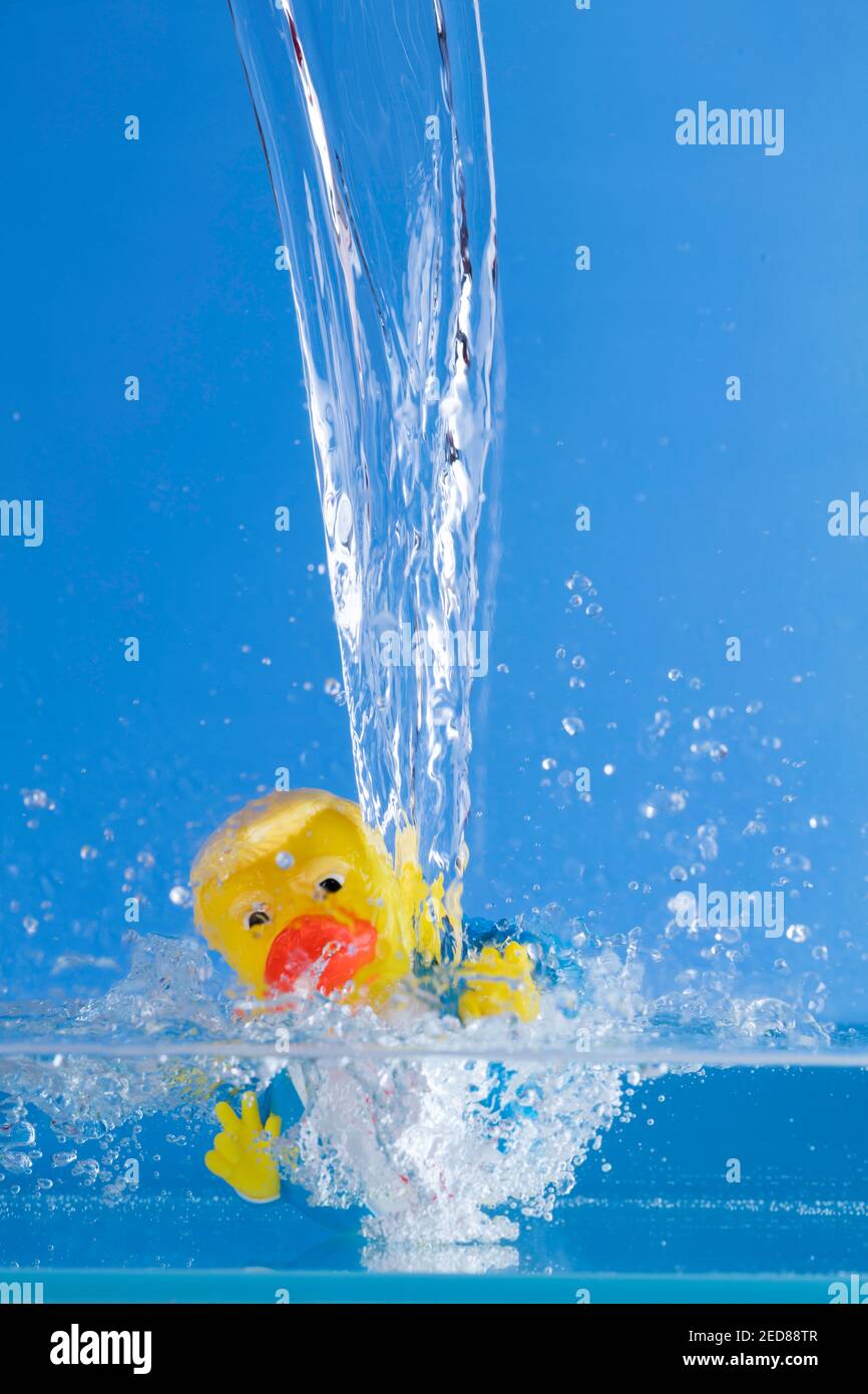 Donald Duck Trump enjoying a bath night Stock Photo - Alamy