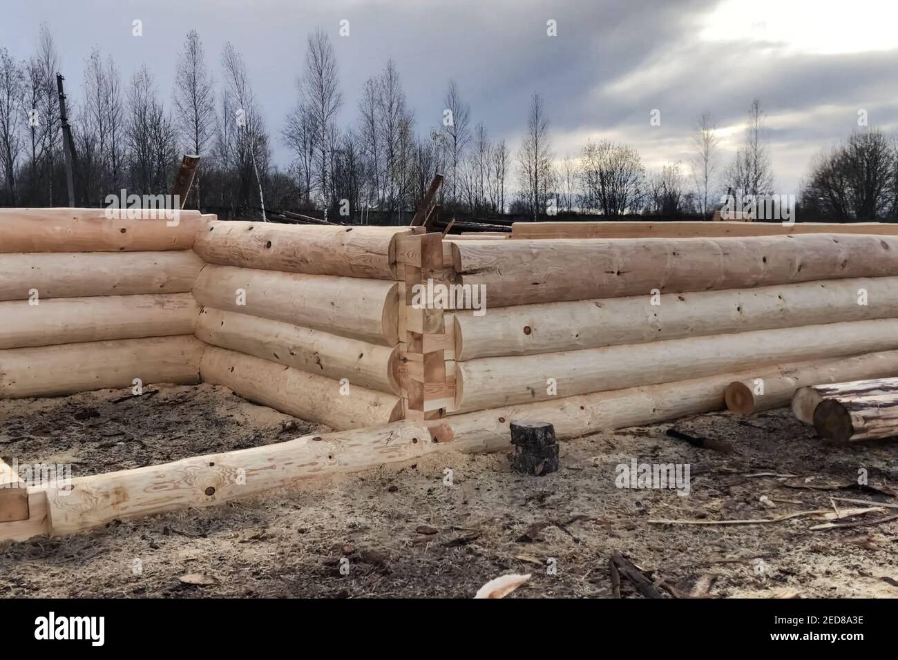 Preparation of logs for the assembly of the structure. Materials for a ...