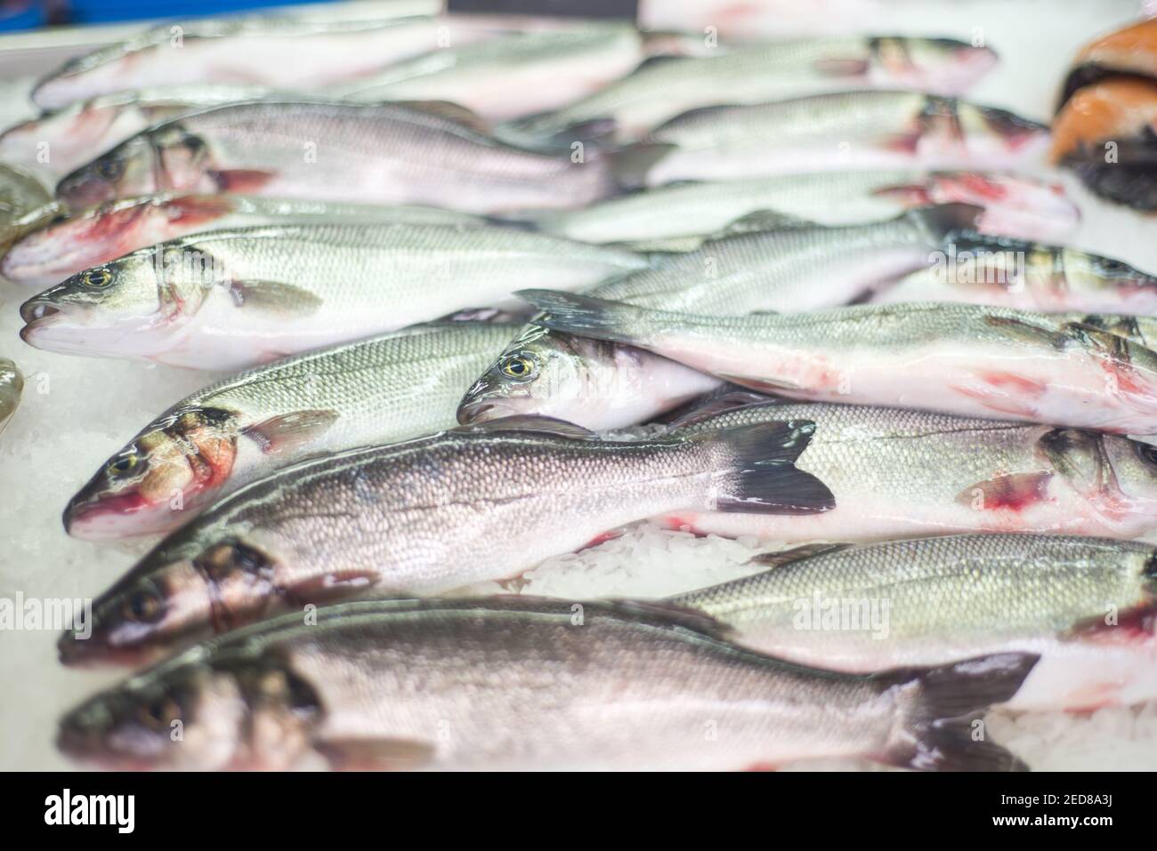 Closeup of whole raw fresh fish arranged on a bed of crushed ice,at ...