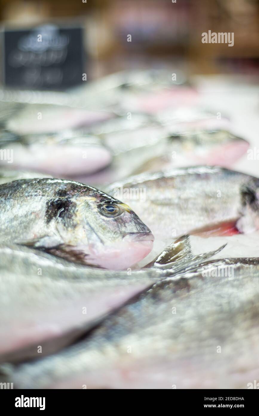 Macro view of parts of whole raw fish freshly arranged on finely ...