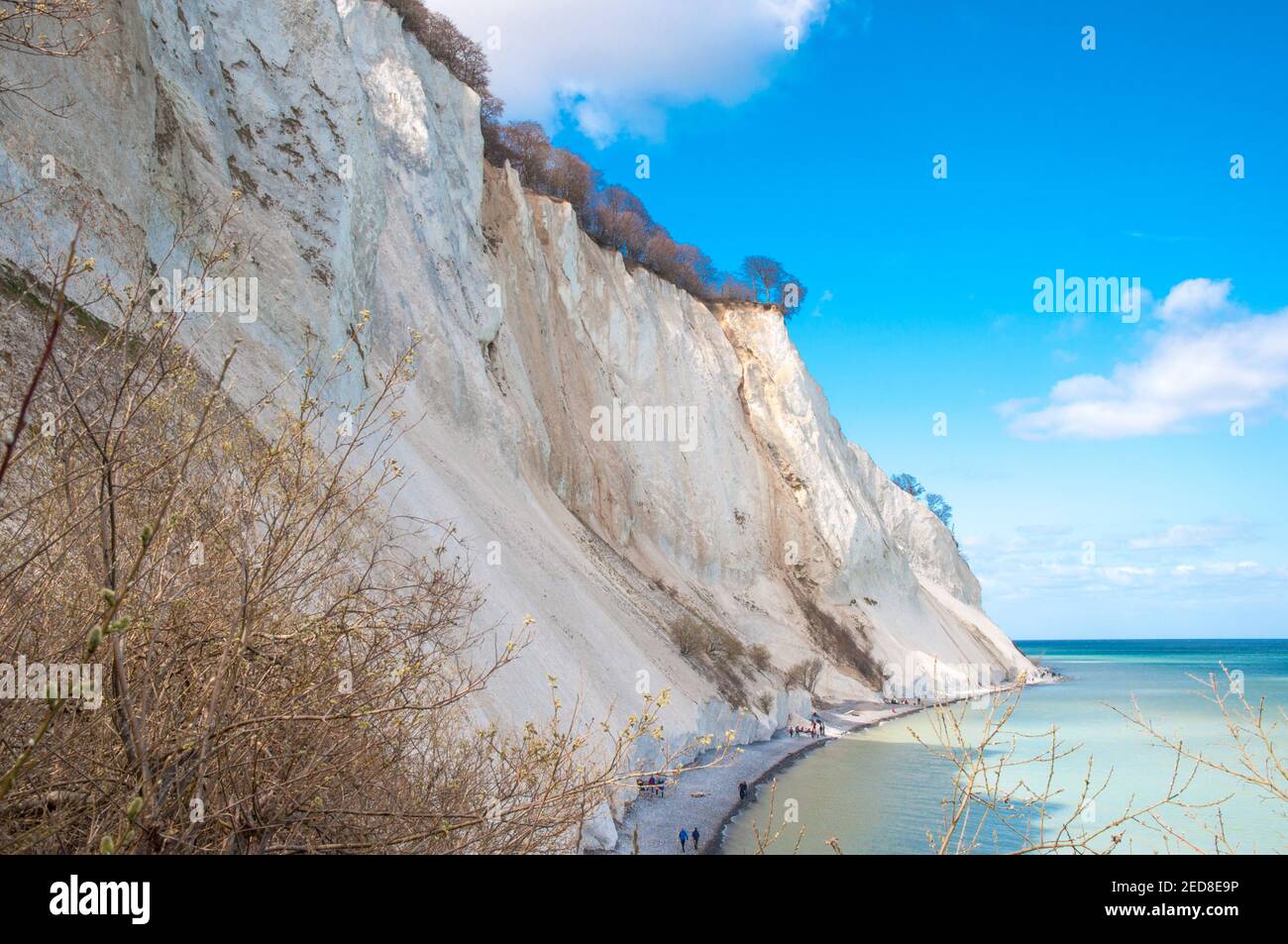 Mons Klint cliff in Denmark on a spring day Stock Photo - Alamy