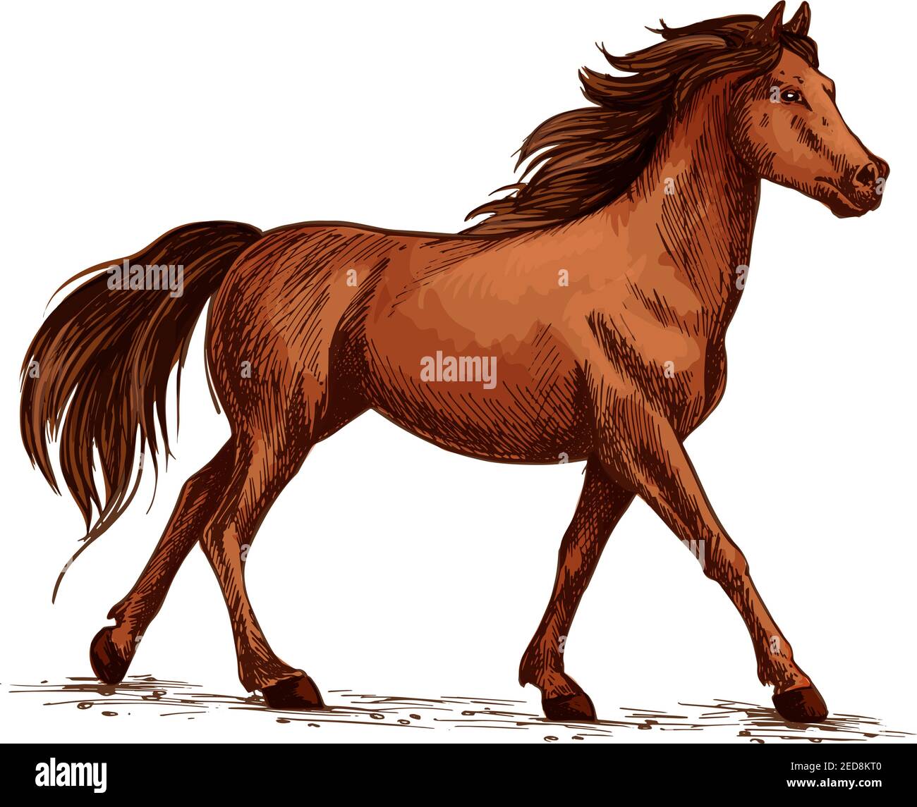 Ambling Stock Vector Images - Alamy