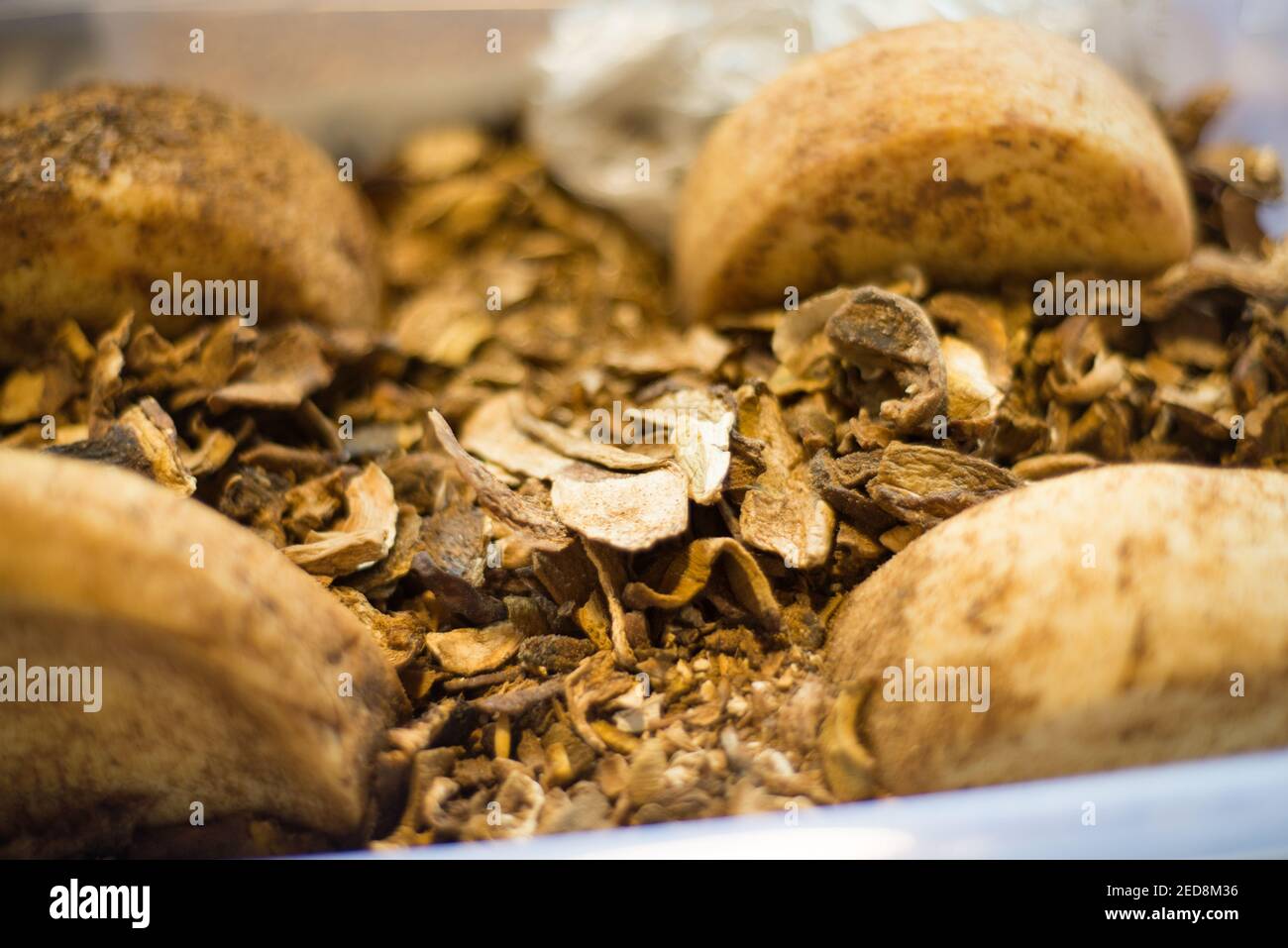 The East European cheese is matured and stored in wild dehydrated ...