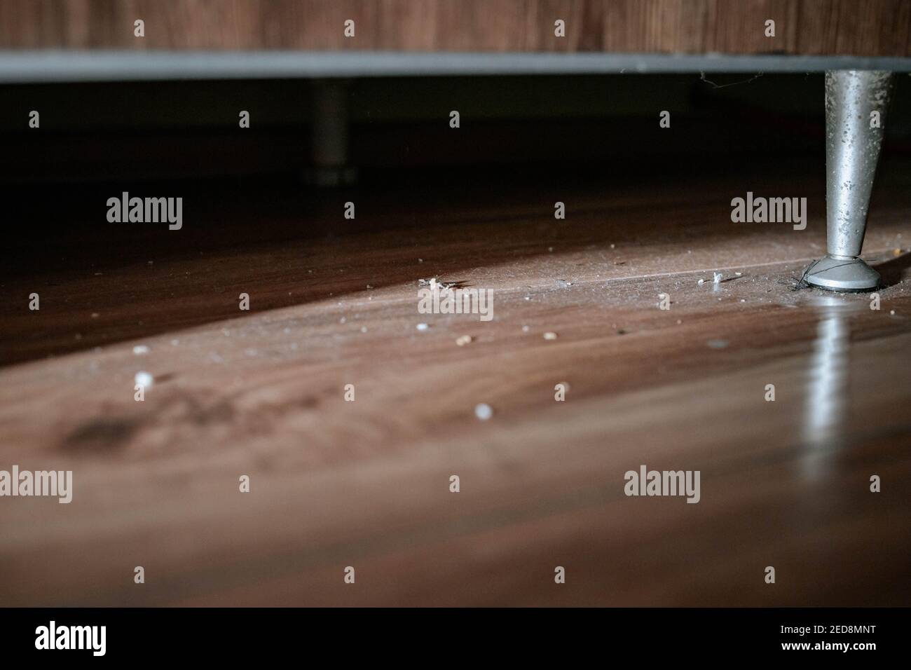 Crumbles hi-res stock photography and images - Alamy