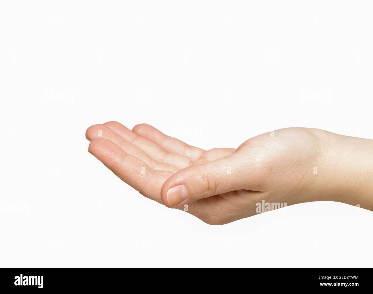 Female caucasian hand slightly bent the palm on a white background ...