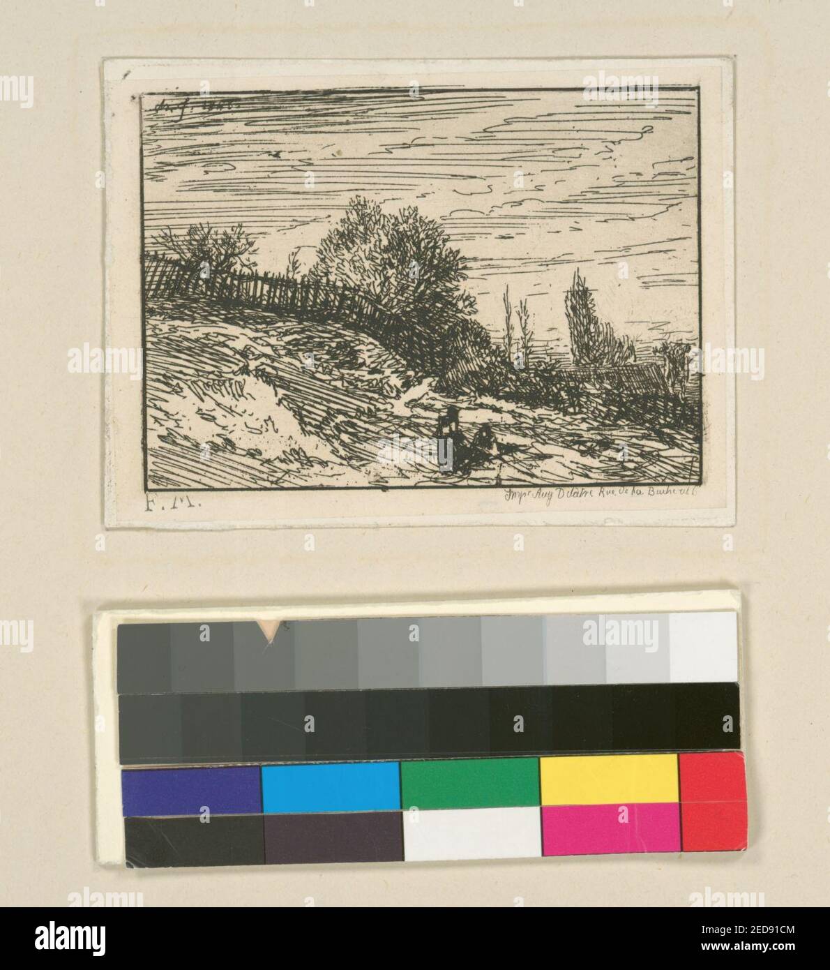 (Le buisson - paysage Stock Photo - Alamy