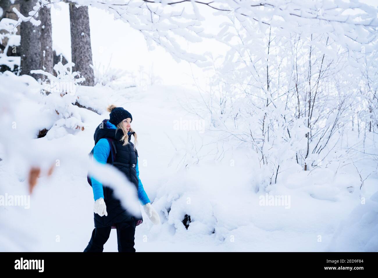 Tourist with backpack hiking on snowy trail in mountains Stock Photo ...