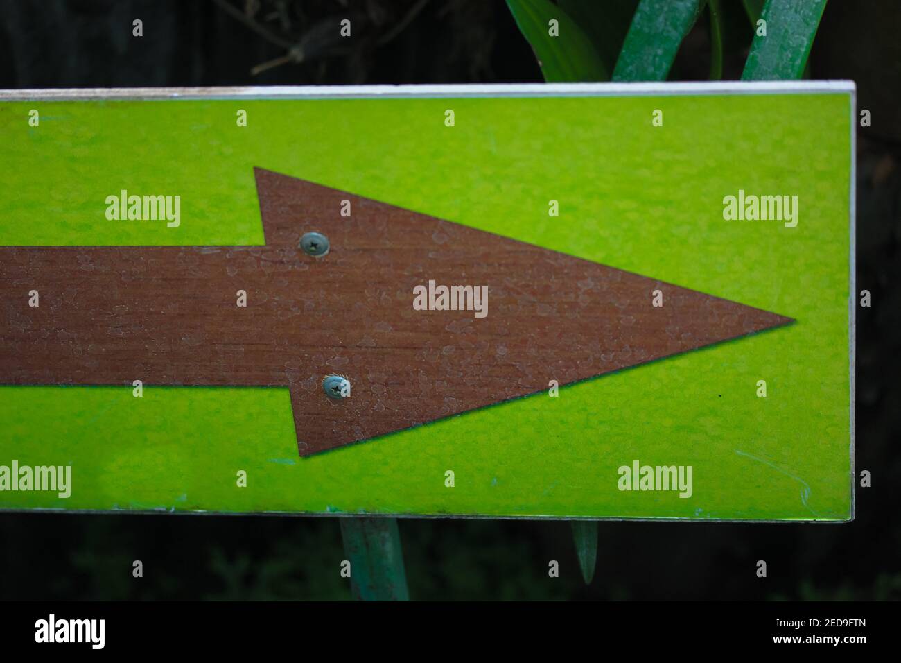 Blank green wooden directional arrow sign on a green background ...