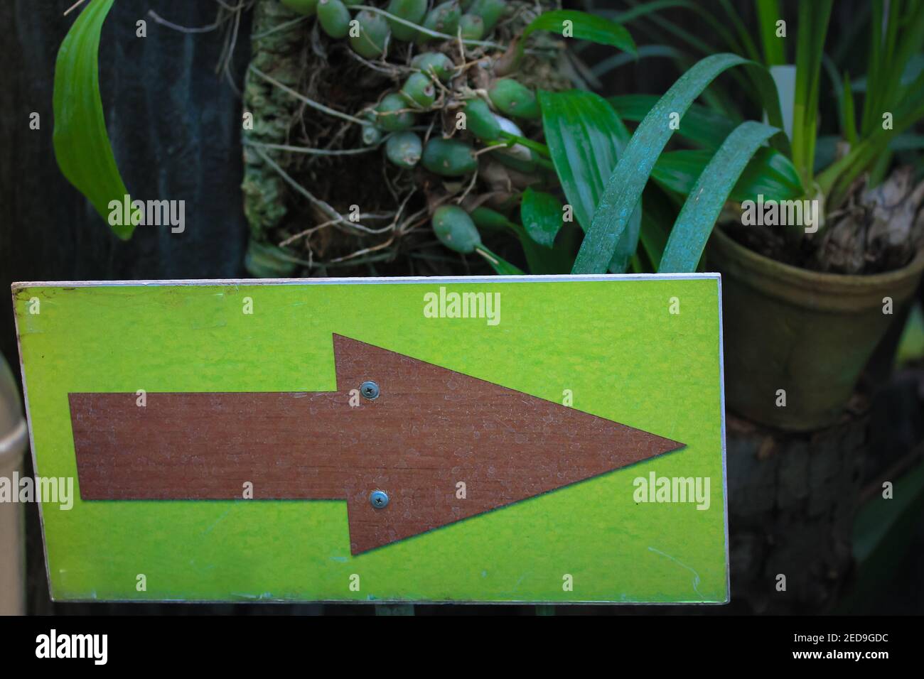 Blank green wooden directional arrow sign on a green background ...