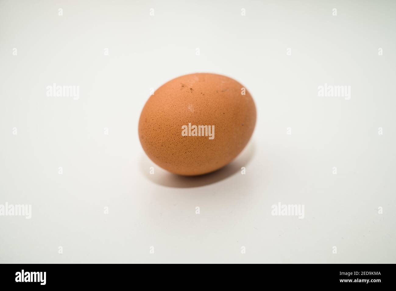 Close up of fresh raw brown chicken egg on white table. Ingridient for ...