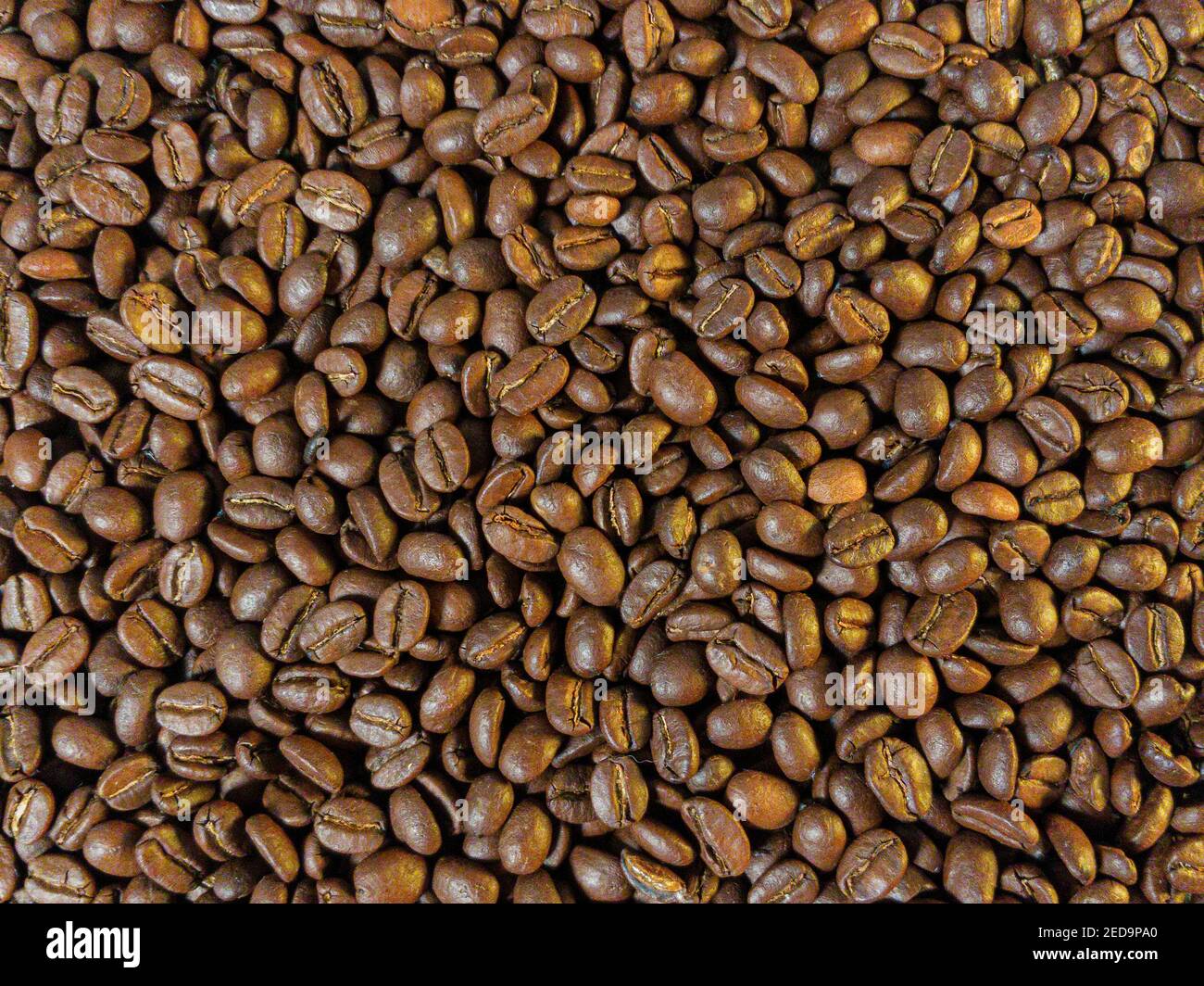 Roasted coffee beans laying on surface making smooth background pattern ...