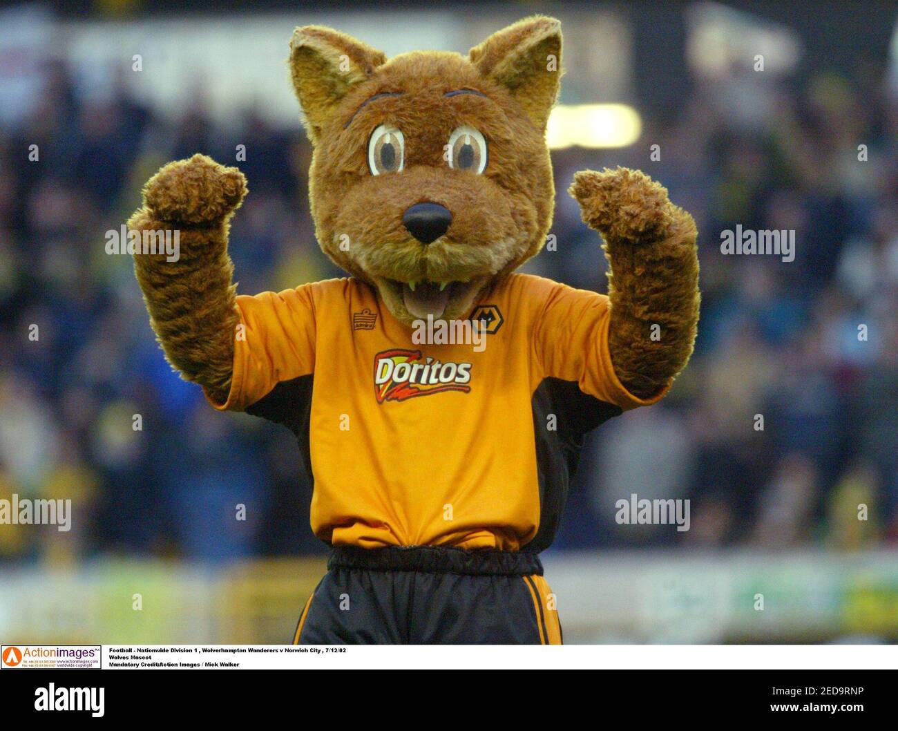 Norwich City Mascot High Resolution Stock Photography and Images - Alamy