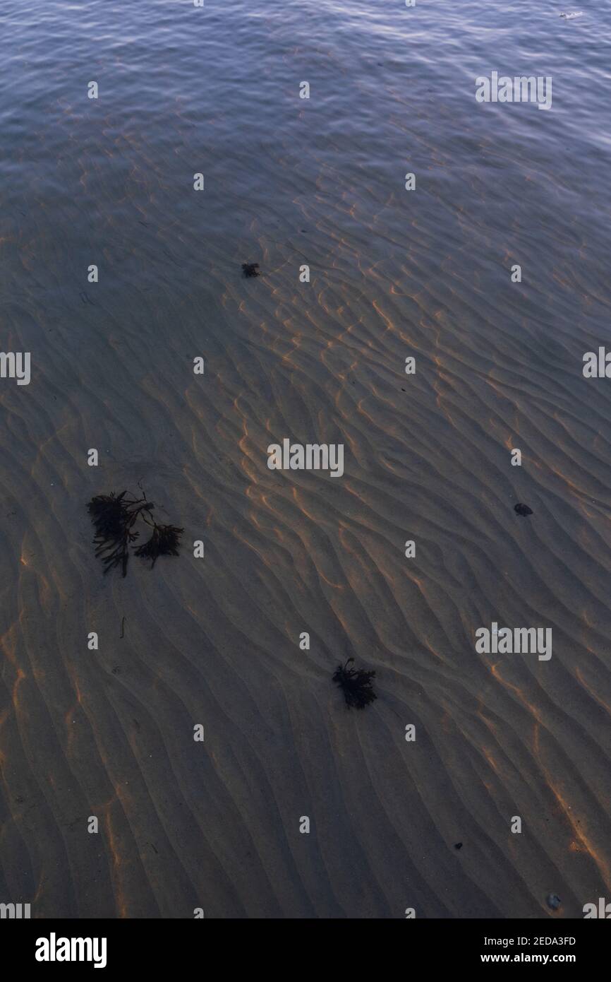 Underwater sand patterns shining in sunlight in clear water at Amager ...