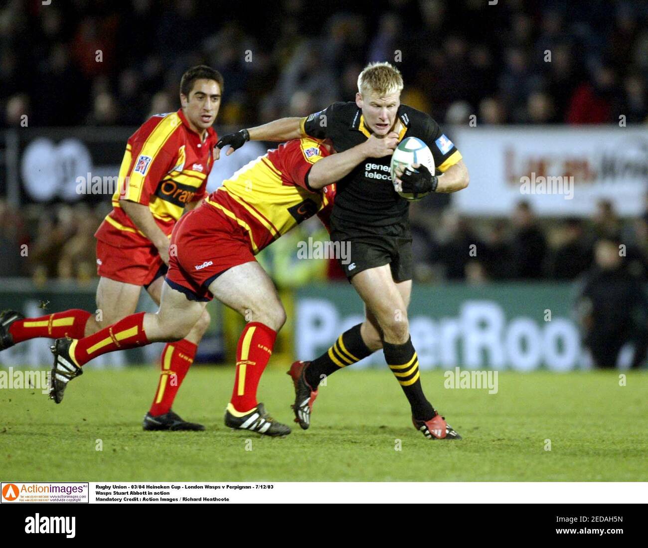 Wasps stuart abbott hi-res stock photography and images - Alamy