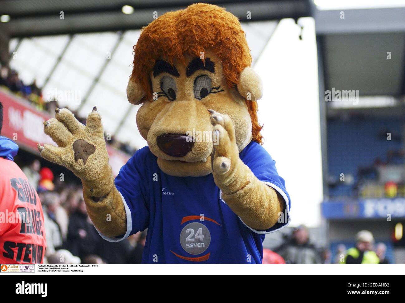 Millwall mascot zampa the lion hi-res stock photography and images - Alamy