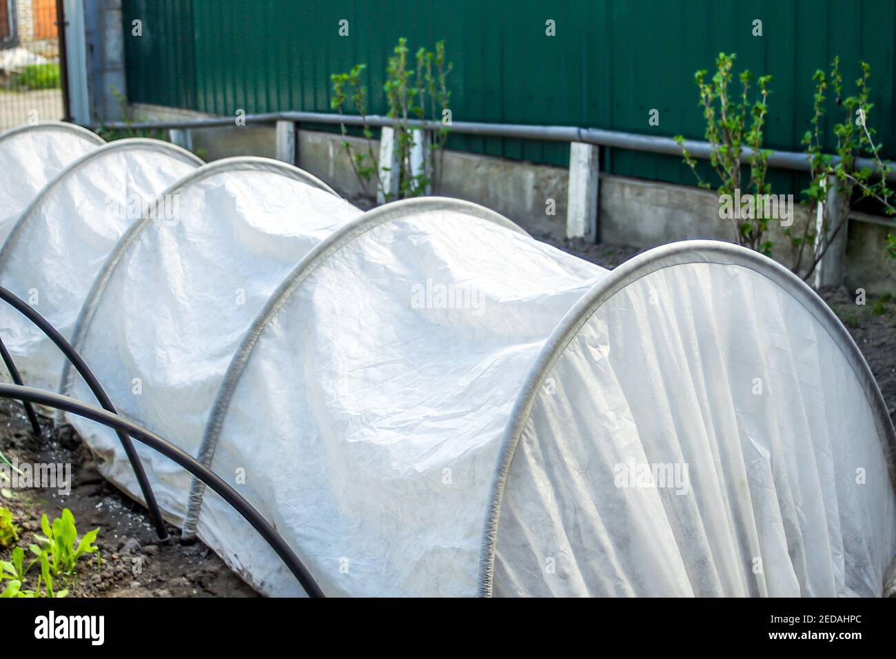 Plastic construction greenhouse hi-res stock photography and images - Alamy