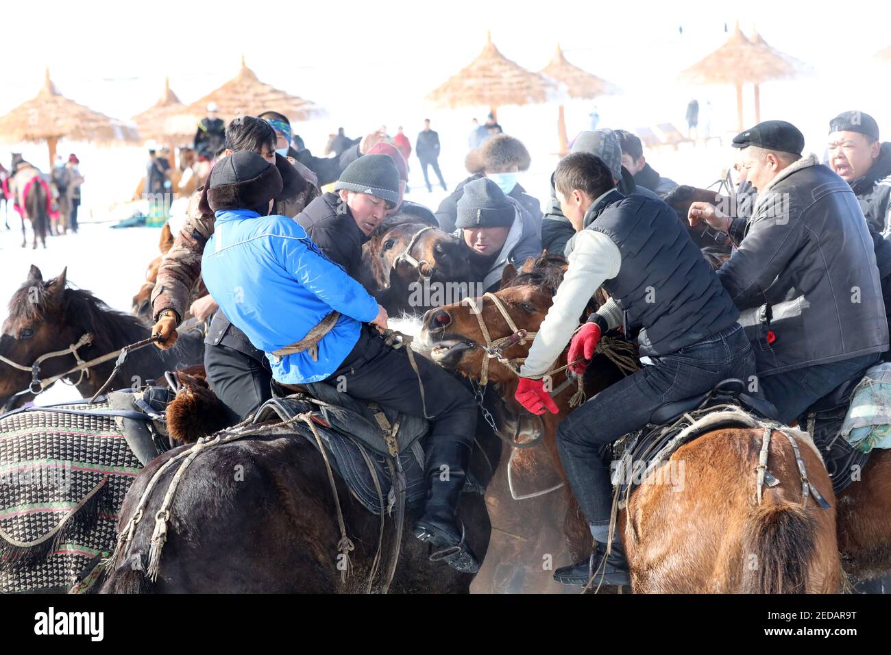 XINJIANG, CHINA - FEBRUARY 14, 2021 - Tourists watch a sheep scramble ...