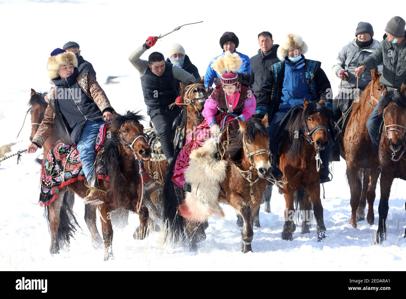 XINJIANG, CHINA - FEBRUARY 14, 2021 - Tourists watch a sheep scramble ...