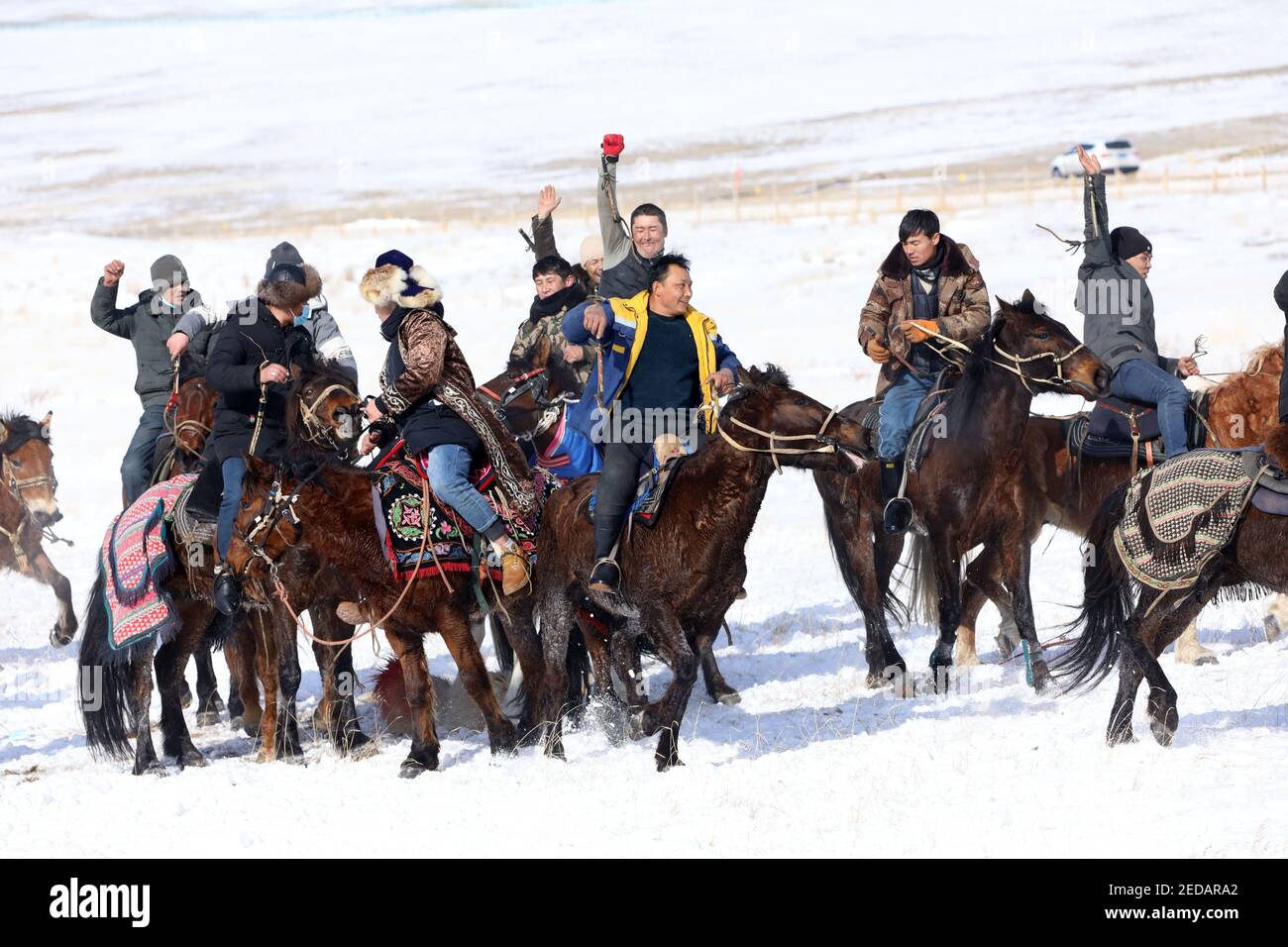 XINJIANG, CHINA - FEBRUARY 14, 2021 - Tourists watch a sheep scramble ...