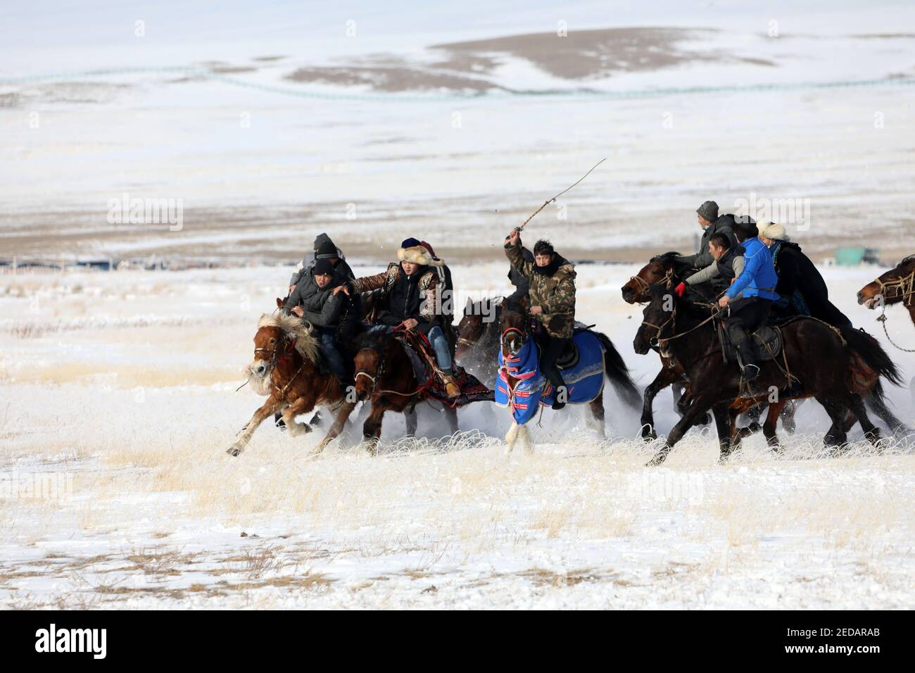 XINJIANG, CHINA - FEBRUARY 14, 2021 - Tourists watch a sheep scramble ...