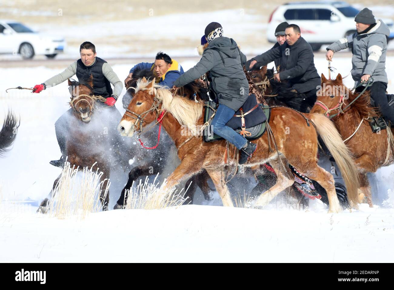 XINJIANG, CHINA - FEBRUARY 14, 2021 - Tourists watch a sheep scramble ...