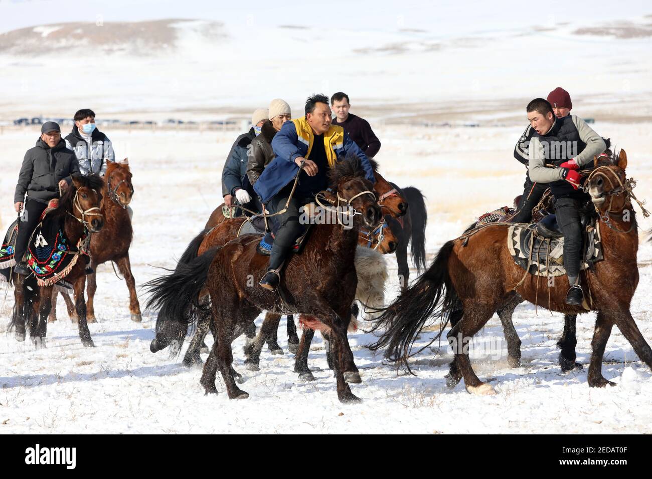 XINJIANG, CHINA - FEBRUARY 14, 2021 - Tourists watch a sheep scramble ...