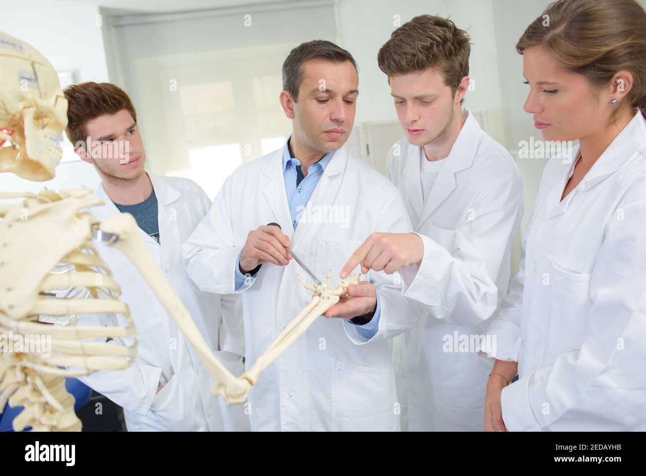 student and teacher in medical class - skeleton Stock Photo - Alamy