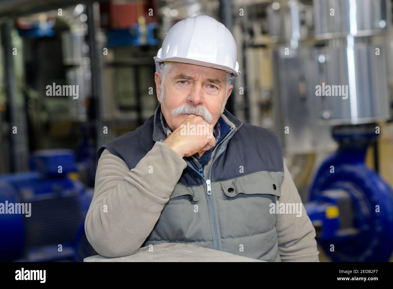 portrait of a senior plantation engineer posing Stock Photo - Alamy