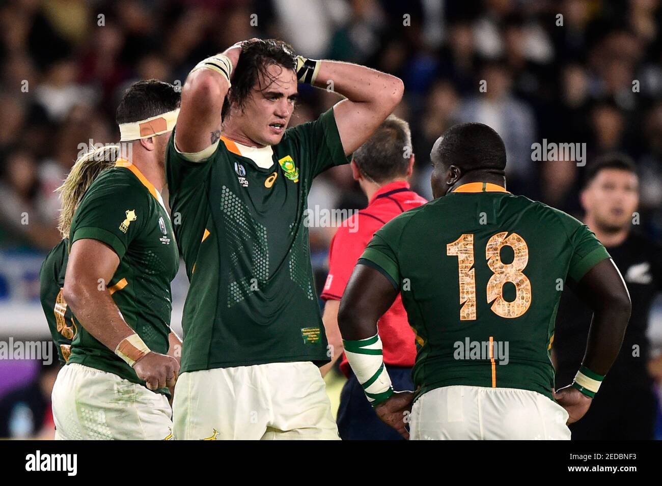 Franco mostert rugby south africa hi-res stock photography and images ...