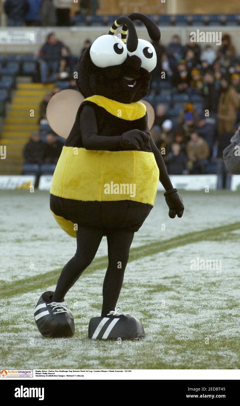 London wasps mascot hi-res stock photography and images - Alamy