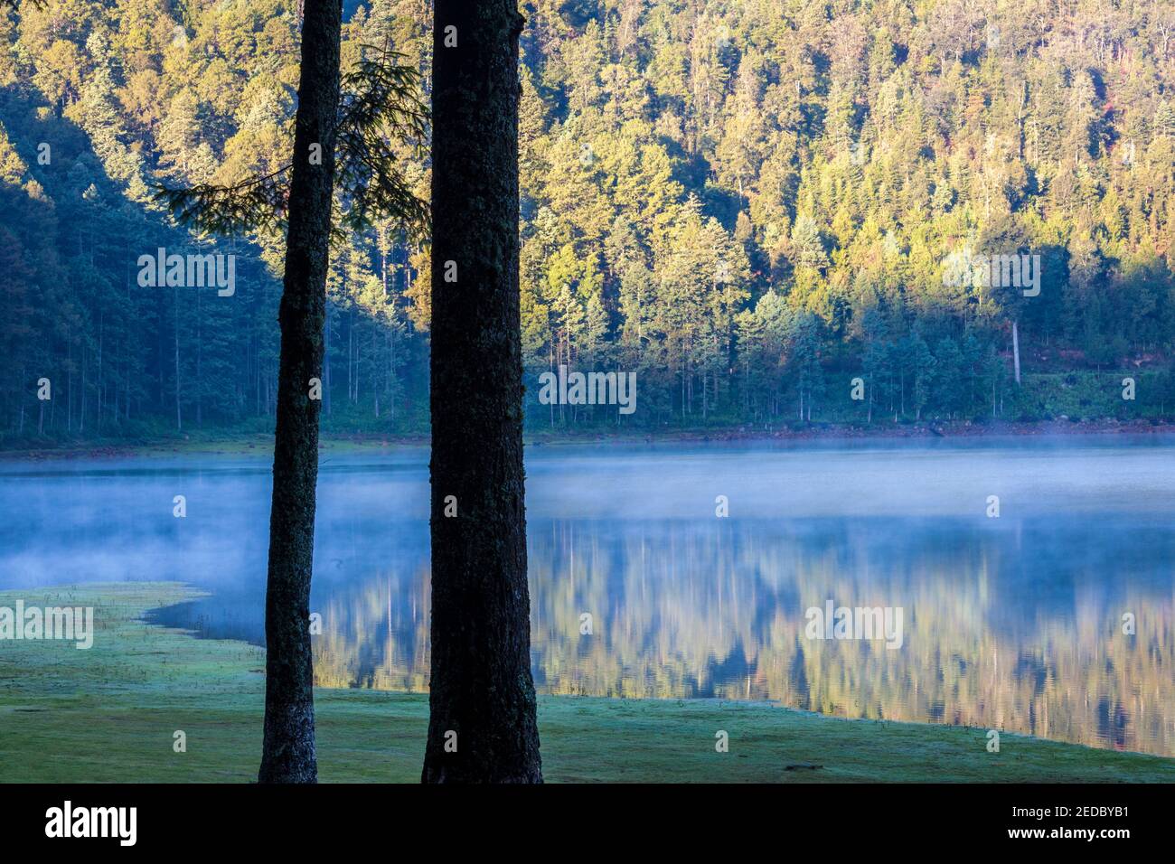 The Laguna Larga lake at sunrise in Los Azufres, Michoacan, Mexico ...