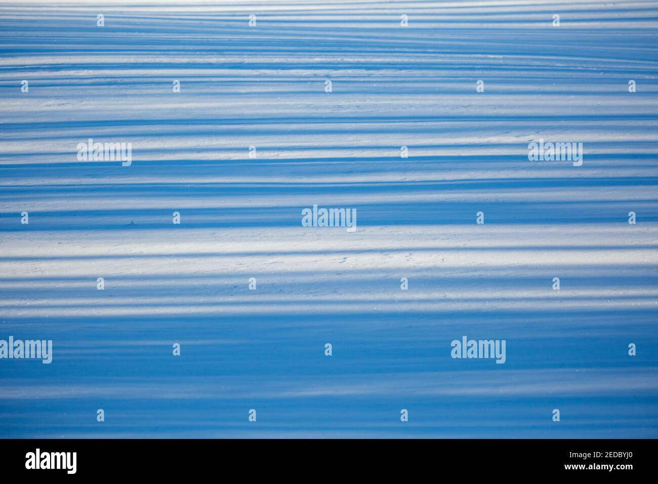 Natural shadow patterns hi-res stock photography and images - Alamy